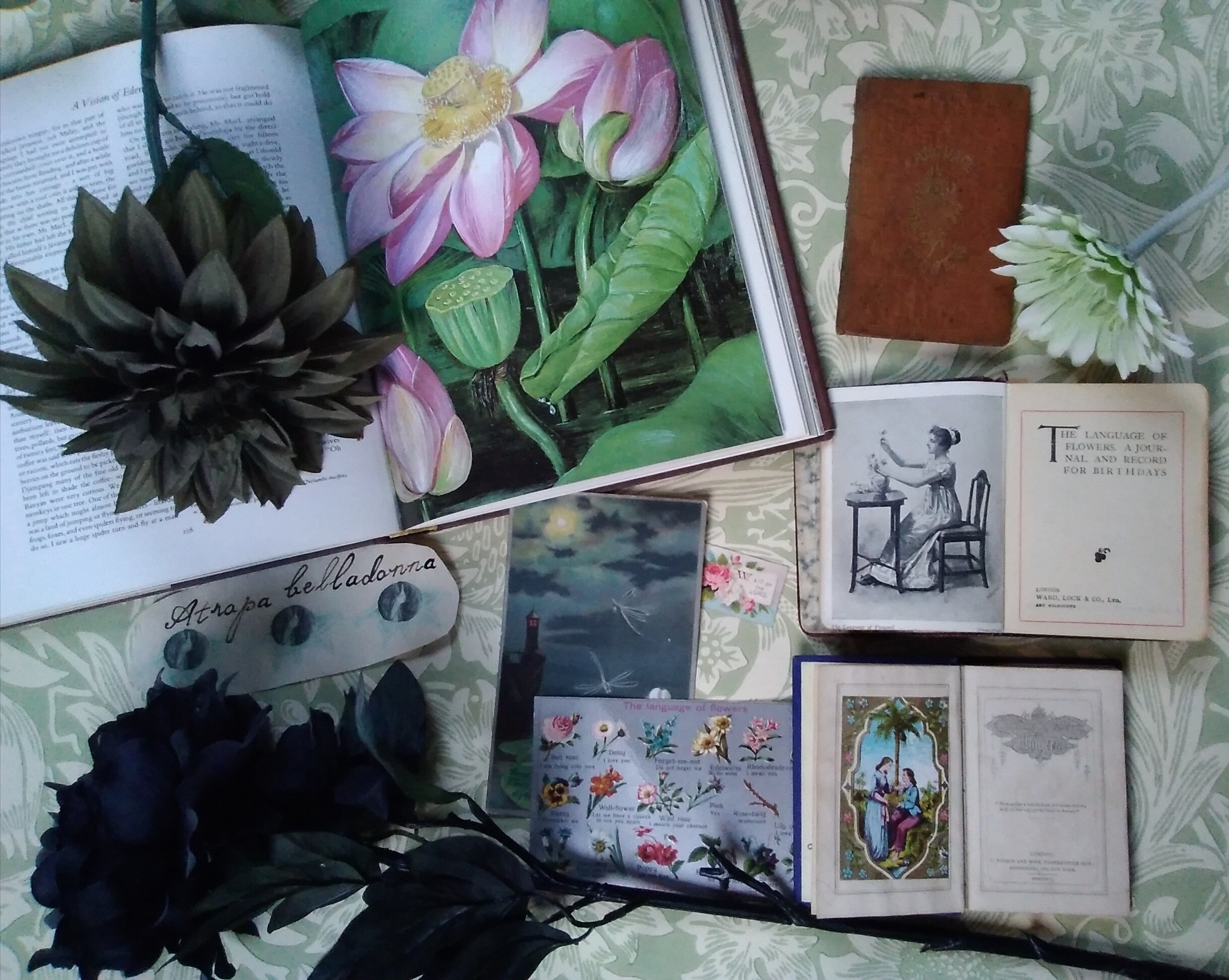 Jemma Stewart - Gothic Association